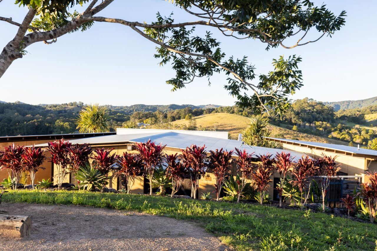 About - Mayan Farm Kin Kin