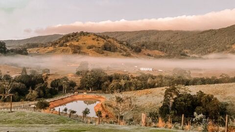 About - Mayan Farm Kin Kin